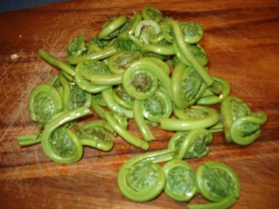 Fiddlehead Ginger Soup