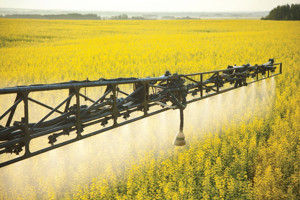 5 Reasons Why I Can’tola When it Comes to Canola Oil