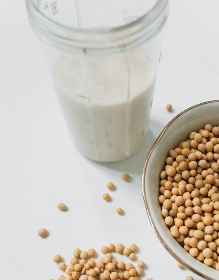 What Plant-Based ‘Milk’ is Best?